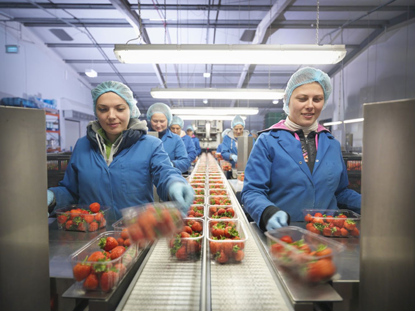 RSPH Level 2 Award in Food Safety for Food Manufacturing | RSPH