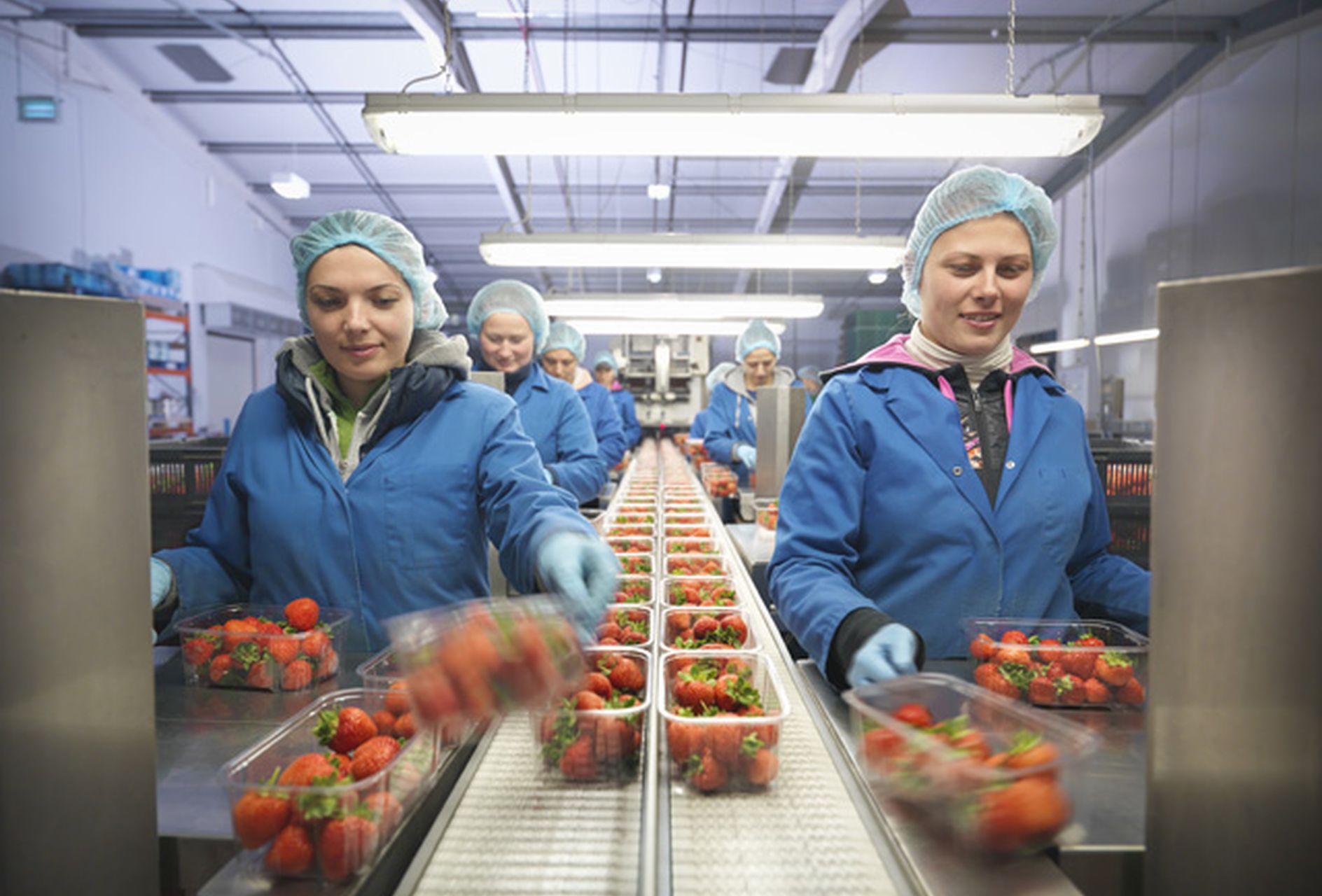 RSPH Level 2 Award in Food Safety for Food Manufacturing | RSPH