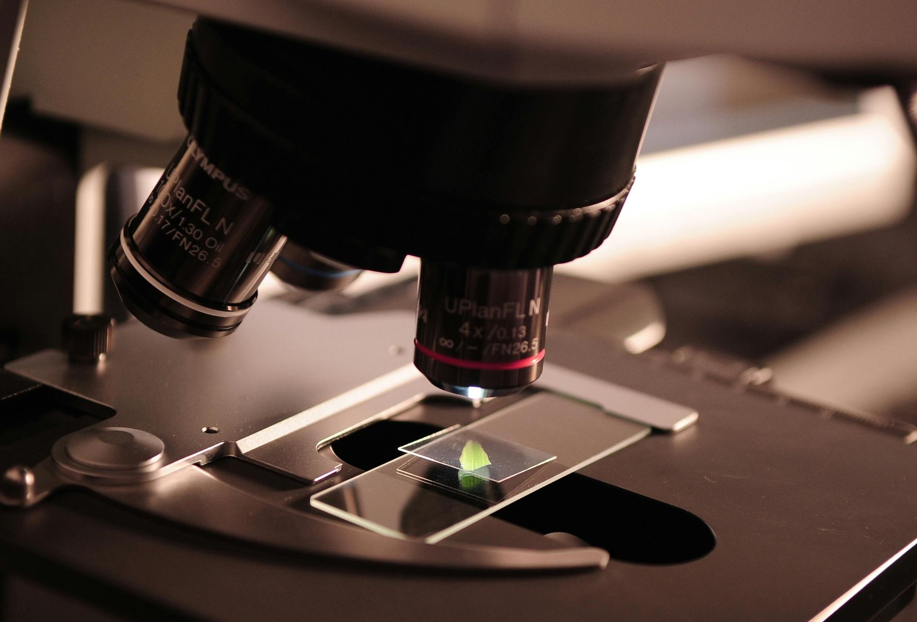 RSPH Level 3 Award in Asbestos Air Monitoring and Clearance Procedures ...