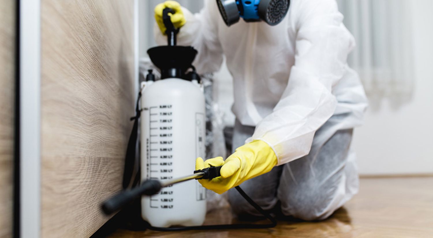RSPH Level 2 Certificate in Pest Management | RSPH