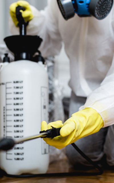 Vergo Pest Management | RSPH