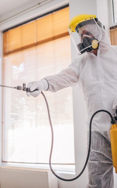 Vergo Pest Management | RSPH