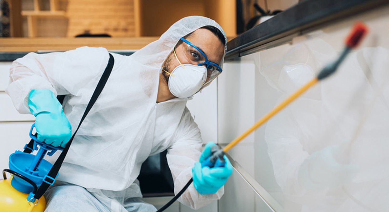 RSPH Level 3 Award in Pest Management | RSPH