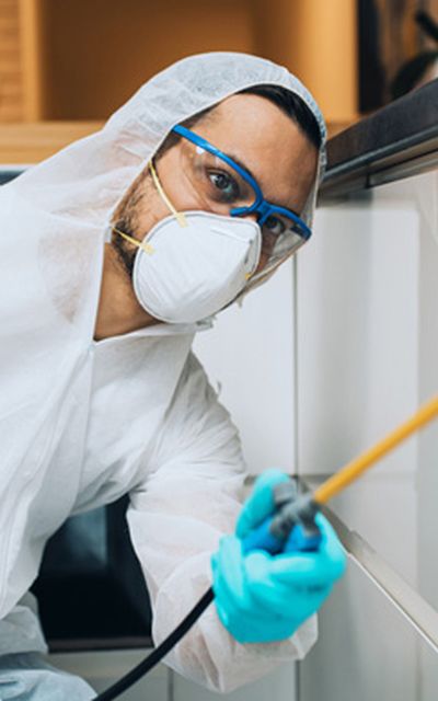 Wilson Pest Management and Training | RSPH