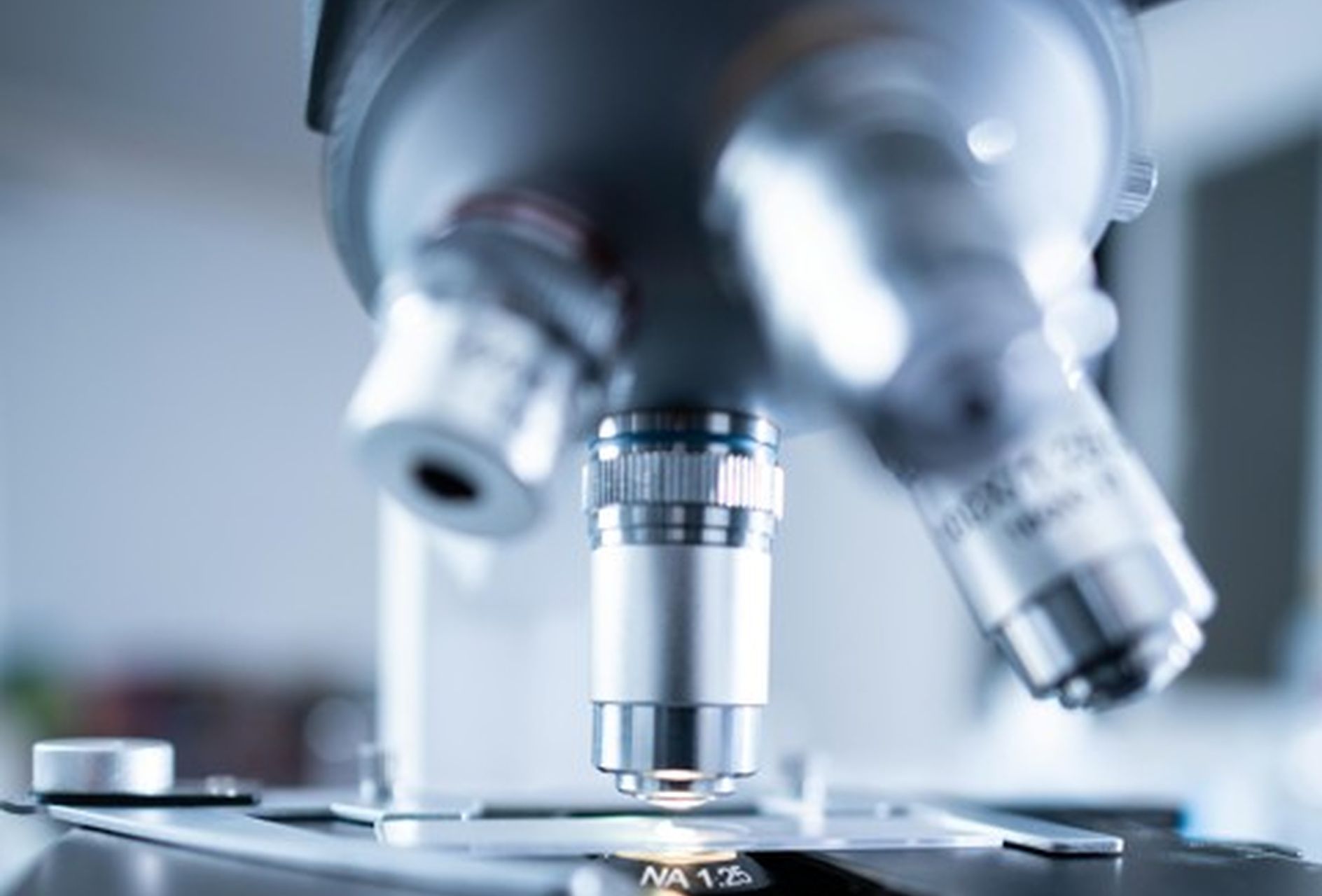 RSPH Level 3 Award in Asbestos Bulk Analysis | RSPH