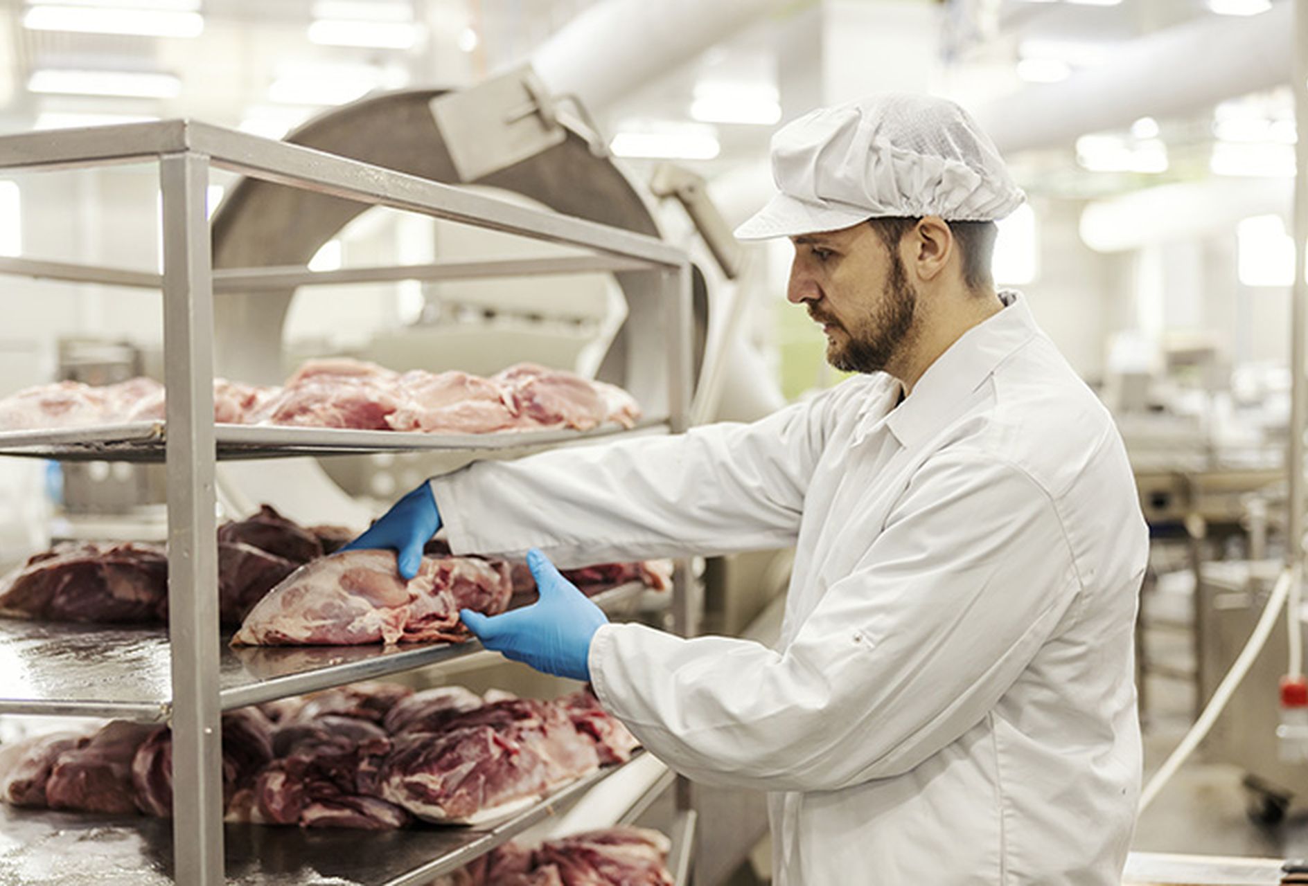 RSPH Level 4 Diploma for Proficiency in Meat Inspection | RSPH